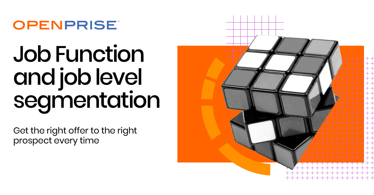 Job Level and Role Segmentation | Lead Segmentation