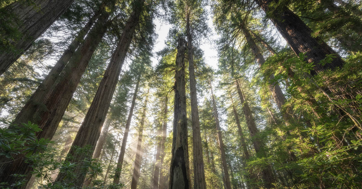 The B2B GTM Operating System for an Efficient Growth World